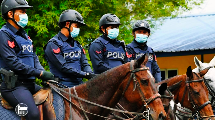 Unit Berkuda Pasukan Simpanan Persekutuan (FRU)